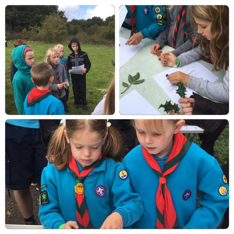 Beaver Scouts | the 8th West Wickham Scout Group